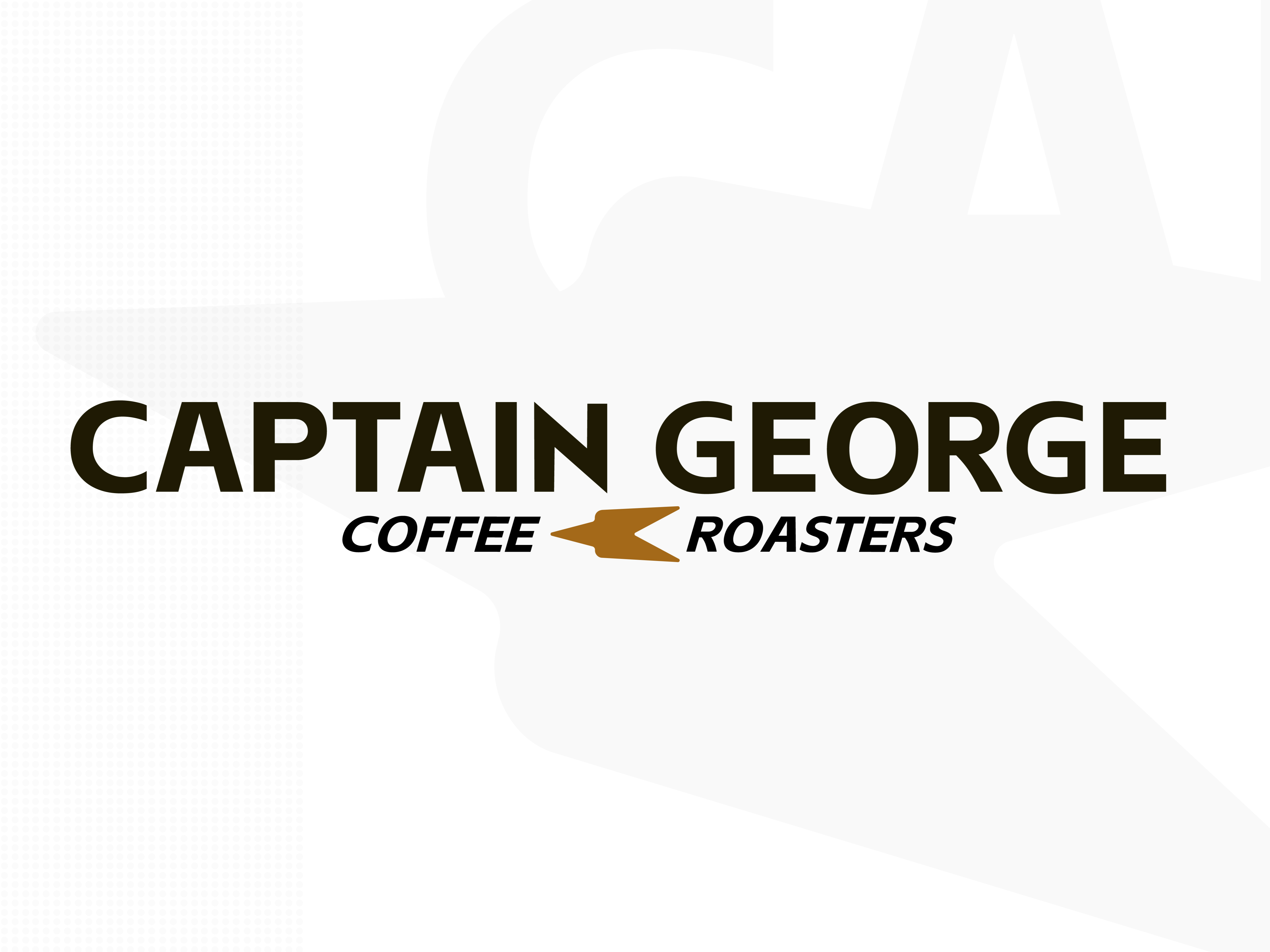 乔治队长Captain George 品牌vi手册_sourcerual-站酷ZCOOL