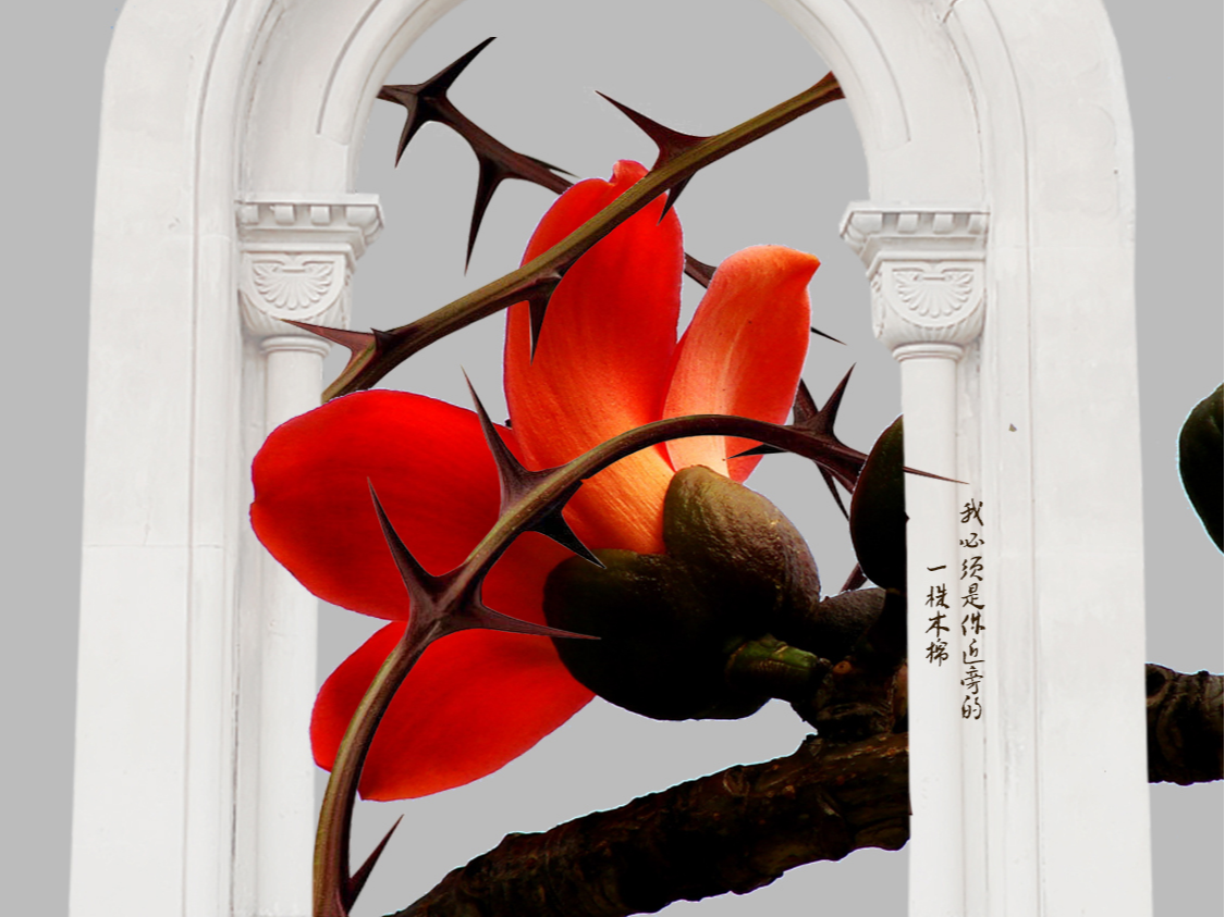 妇女节_十三幺check-站酷ZCOOL