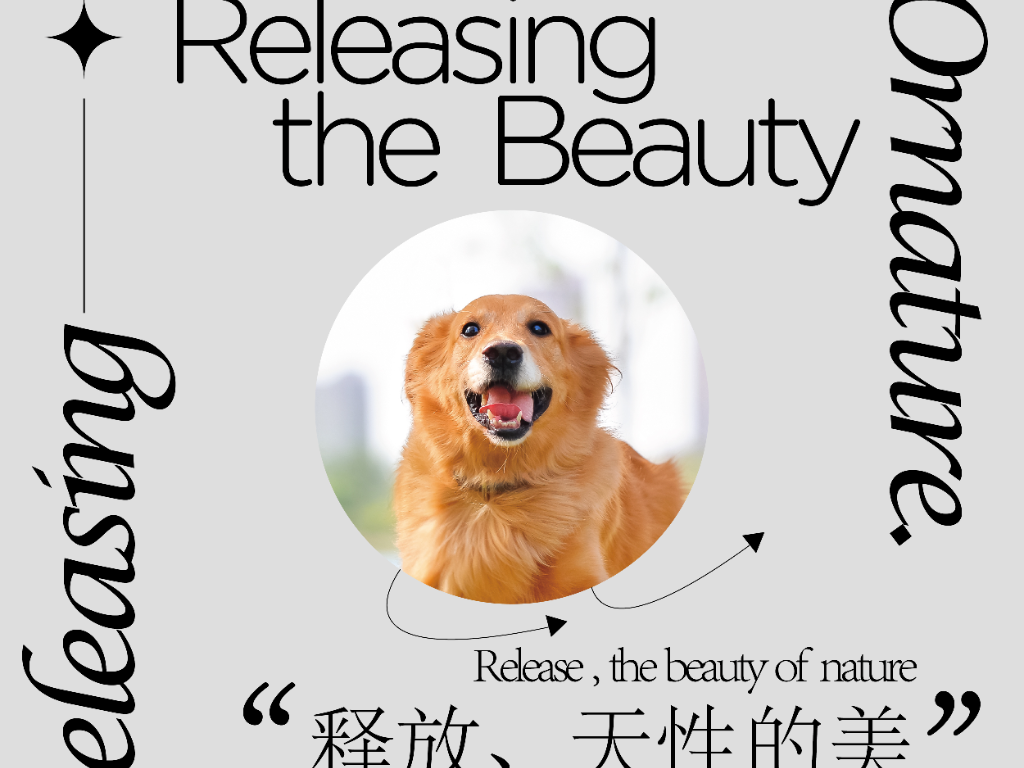 临摹-动物_撑着蘑菇的蜗牛-站酷ZCOOL