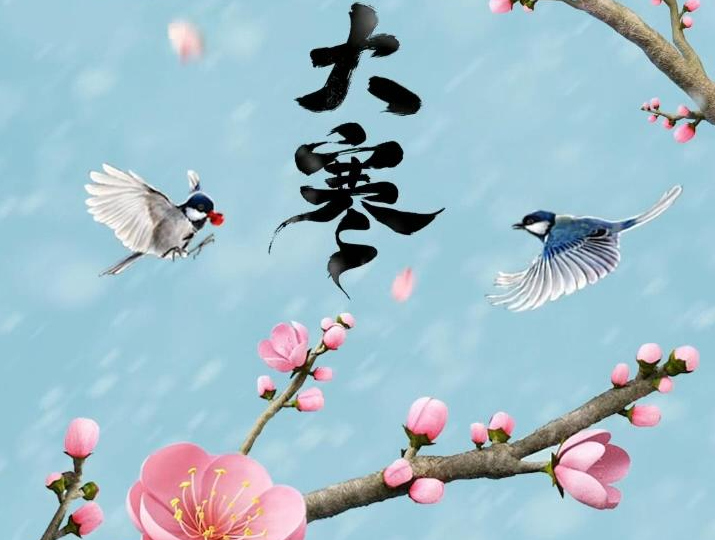 2024动态海报_宁小卷-站酷ZCOOL