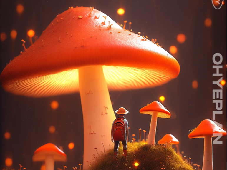 微距摄影 | 奇幻蘑菇_小手一背-站酷ZCOOL