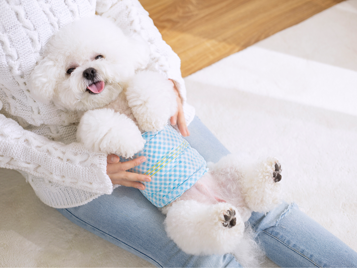 宠物纸尿裤拍摄丨宠物产品拍摄丨亚马逊宠物产品拍摄_宠物产品摄影-站酷ZCOOL