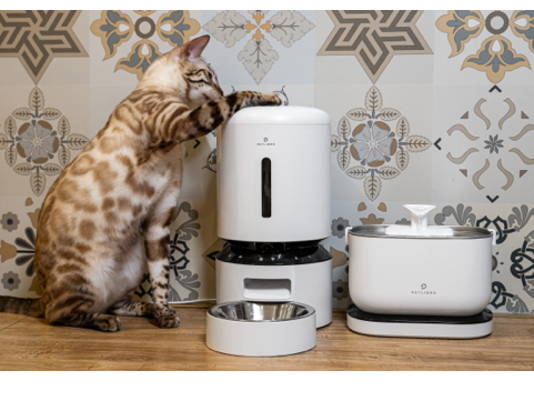 日常社媒拍摄_MY_STUDIO-站酷ZCOOL