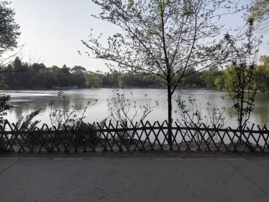 大学校园_gongge-站酷ZCOOL