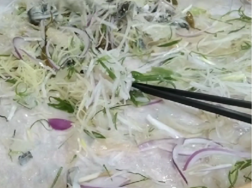 鱼生一波走起_JAMSONG-站酷ZCOOL