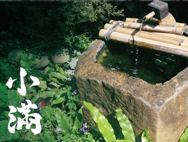 [節氣桌布] 小滿_做作的Daphne-站酷ZCOOL