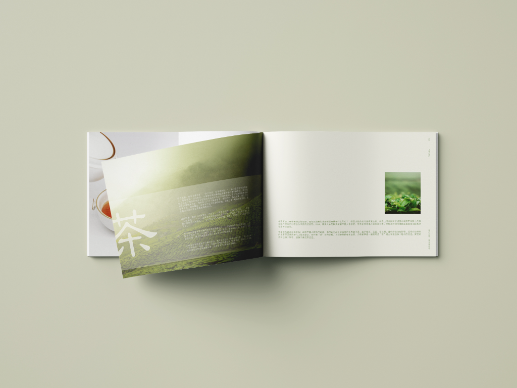 茶之浮沉｜茶叶画册_Eli鳄梨设计-站酷ZCOOL