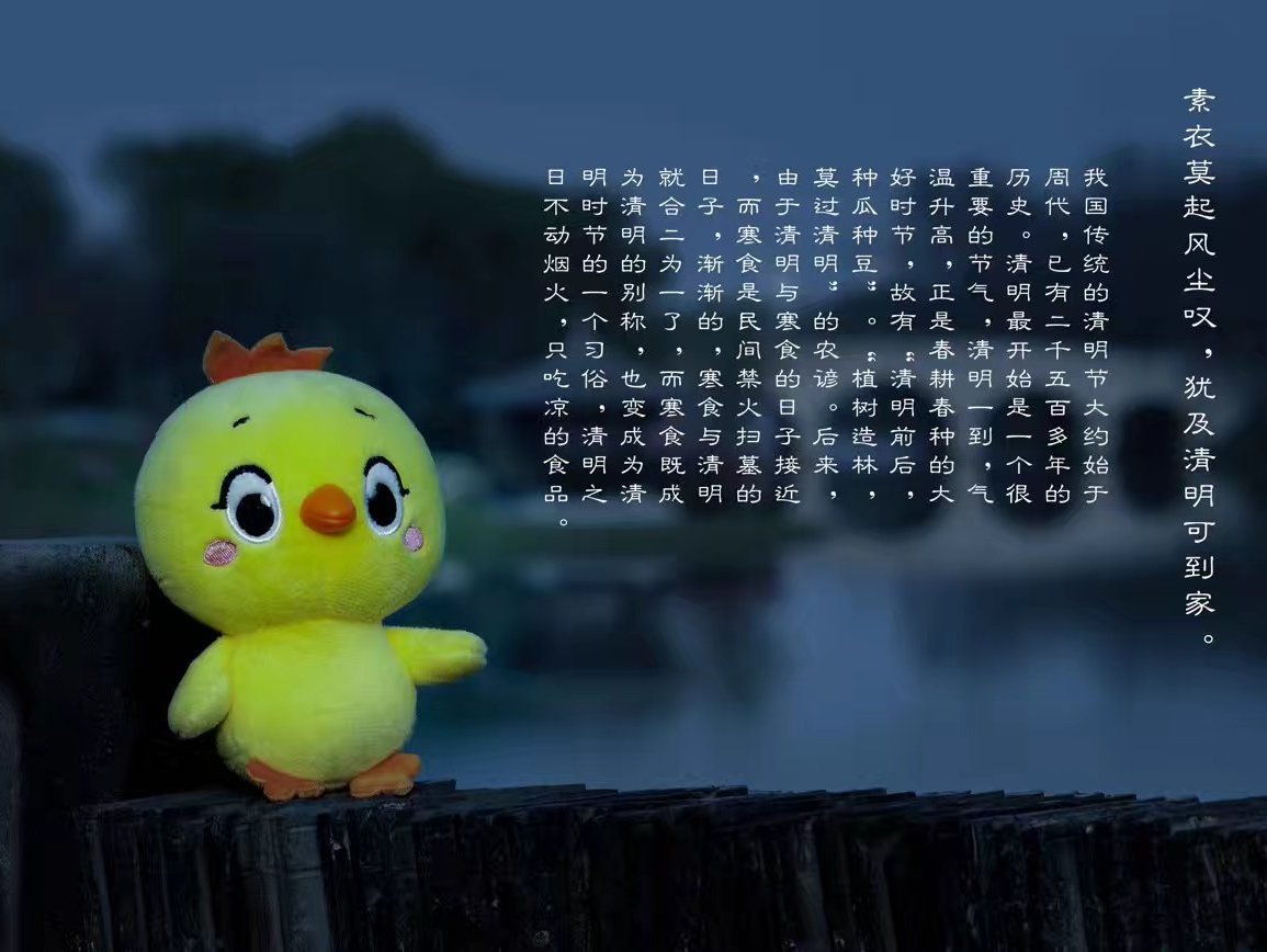 小黄鸡高登清明节_陆离Kz-站酷ZCOOL