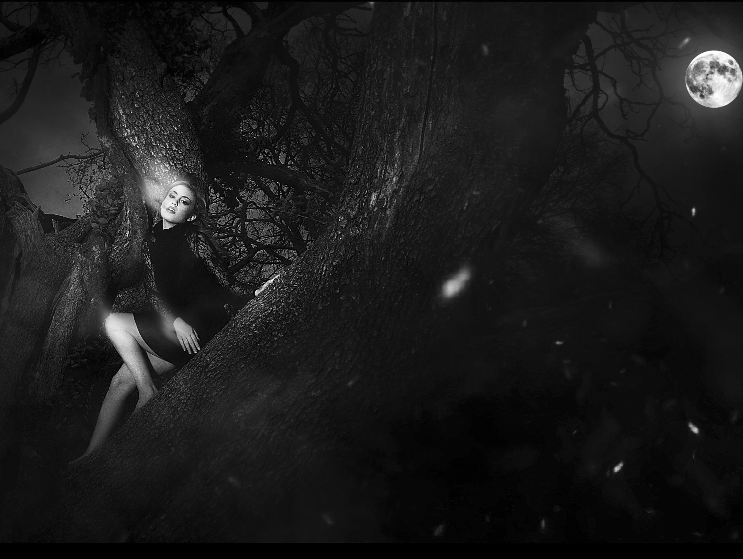 MOONLIGHT_zhueiruo-站酷ZCOOL