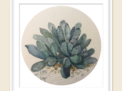 多肉_爱画画的小鱼儿-站酷ZCOOL