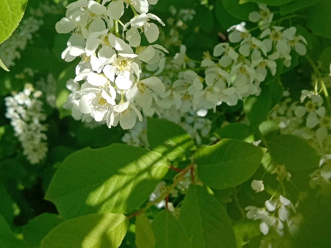 拾取春色_雨过天晴123456-站酷ZCOOL