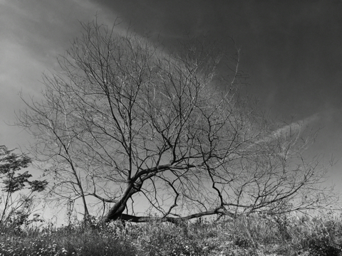 a_曦lip-站酷ZCOOL