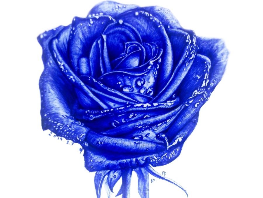 蓝色妖姬VS红色妖姬_忠艾-站酷ZCOOL