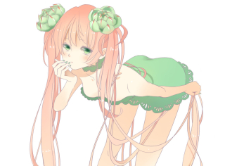 多肉肉 静夜姬_7K小驴-站酷ZCOOL