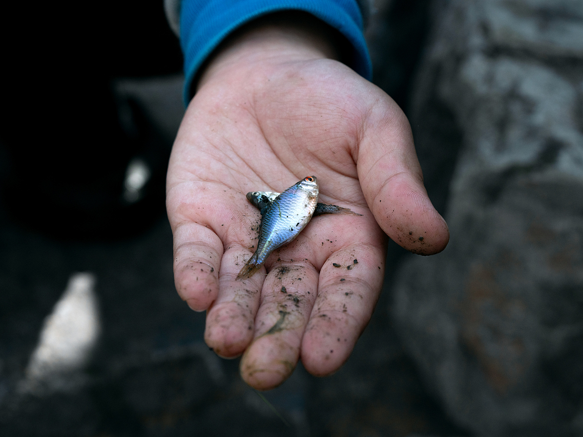 冬去春来花又开_海辉_haihui-站酷ZCOOL