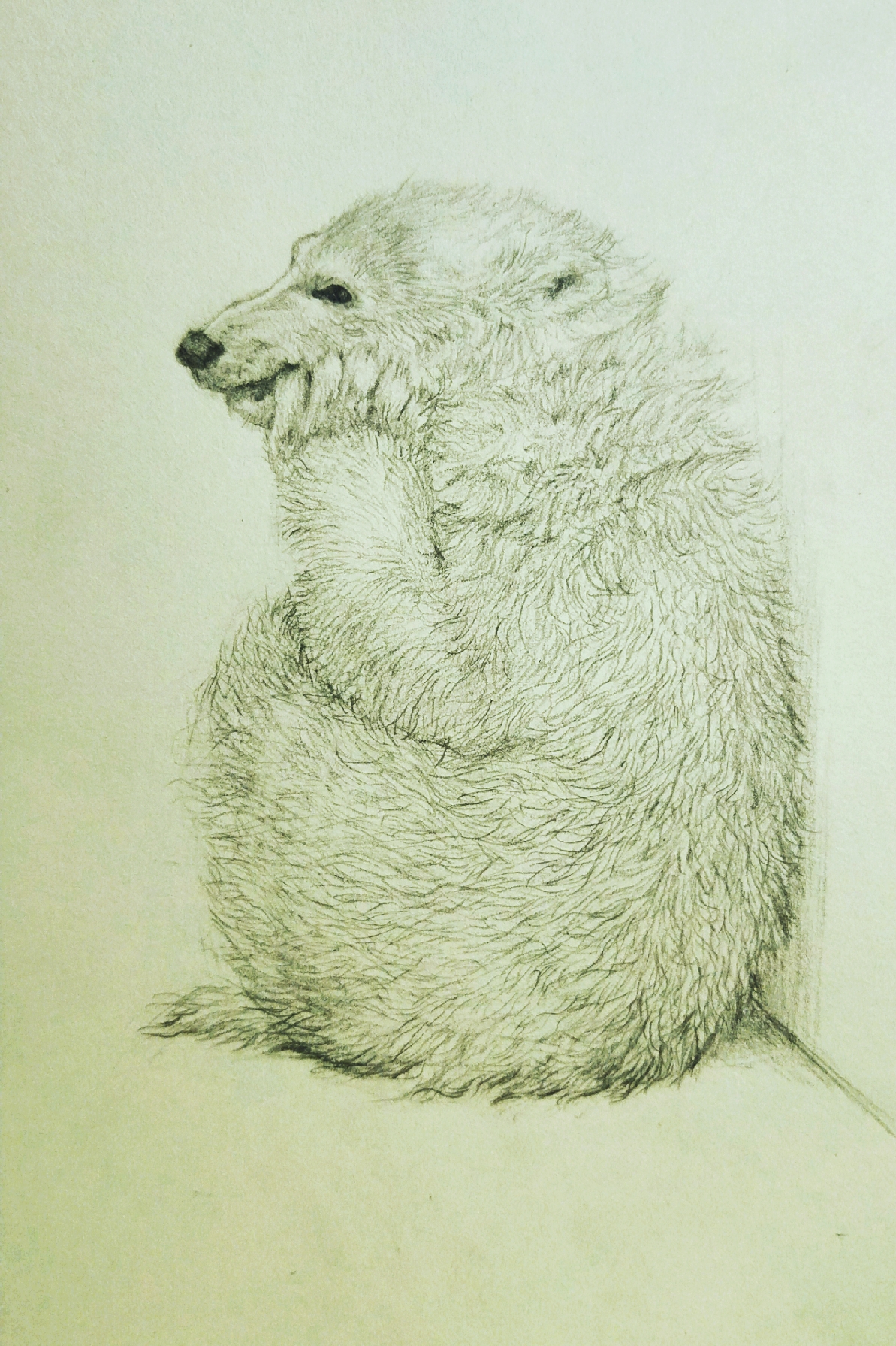 习作_叶靓790508-站酷ZCOOL