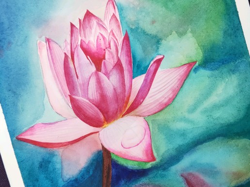 【水彩】粉色莲花_VIC兰澜-站酷ZCOOL