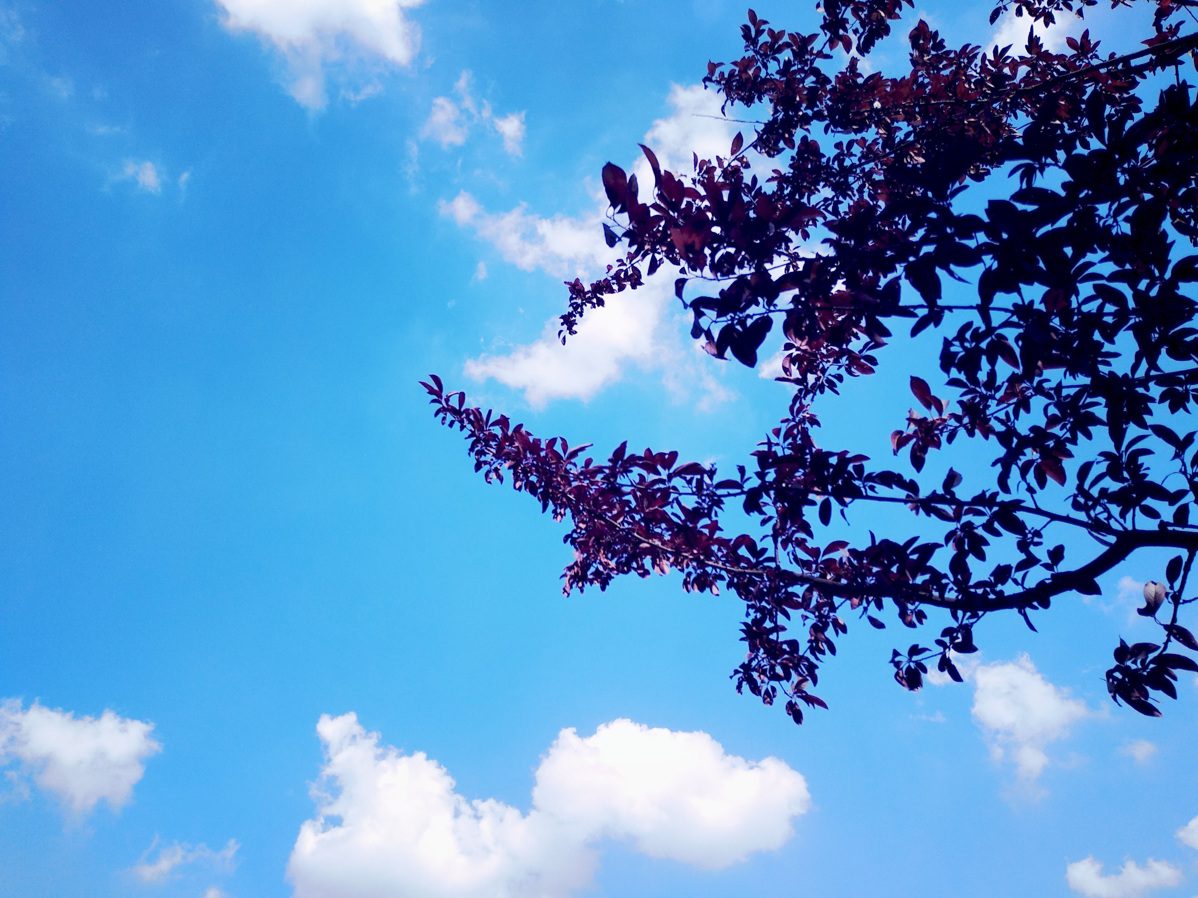 Day 165_爱设计的Alex-站酷ZCOOL