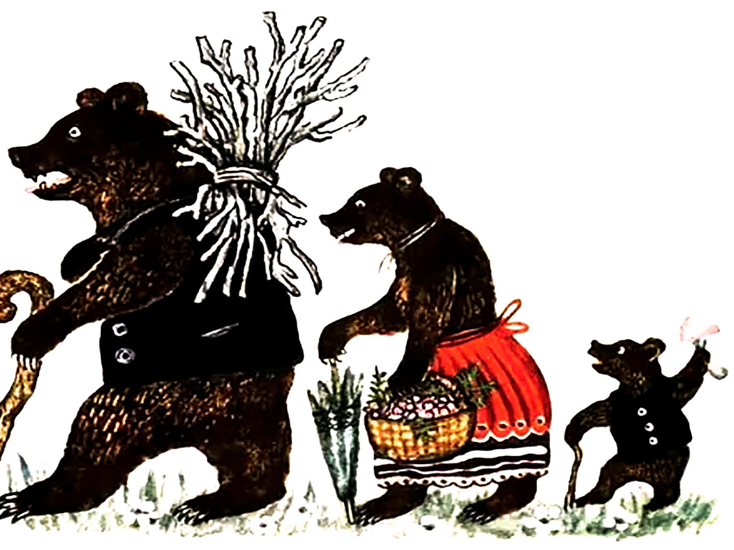 狗熊外出_天山雪宝-站酷ZCOOL