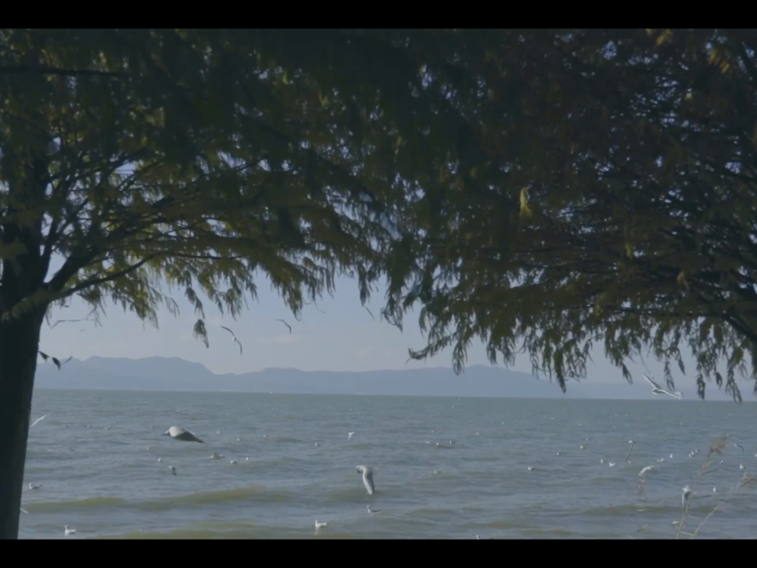 宗璞：《东藏记》_Emmalyy-站酷ZCOOL