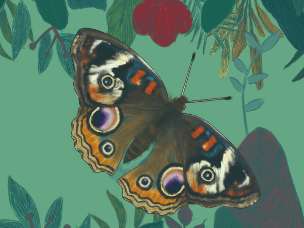 我眼里的美丽世界_歪歪呀yy-站酷ZCOOL