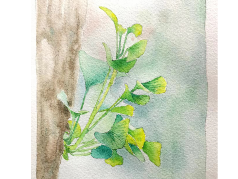 立春_摄氏19度C-站酷ZCOOL