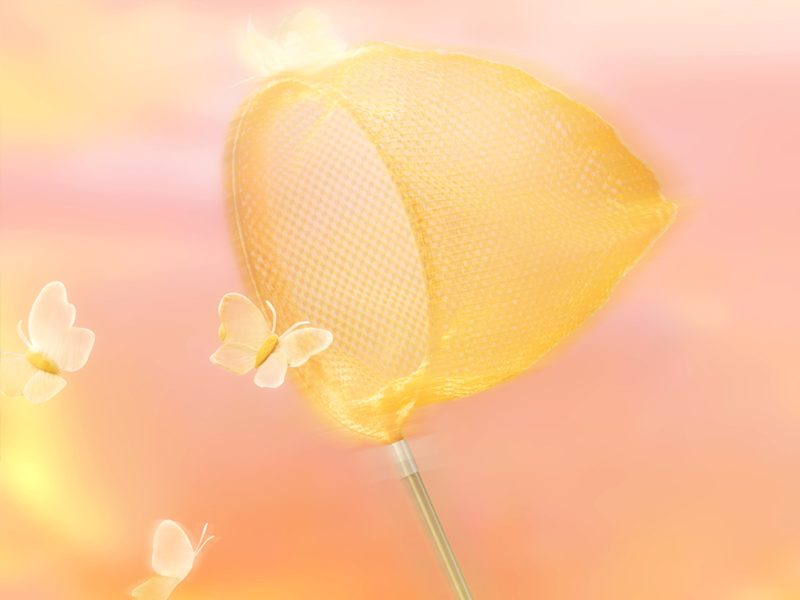 夏日狂想曲 #IN LIGHT#_INLIGHT光合-站酷ZCOOL