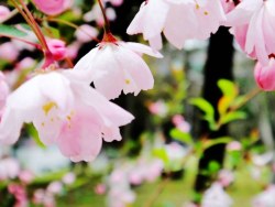 寂·忆_Z_Zing-站酷ZCOOL