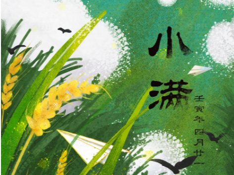 小满节气海报_designer咩咩-站酷ZCOOL