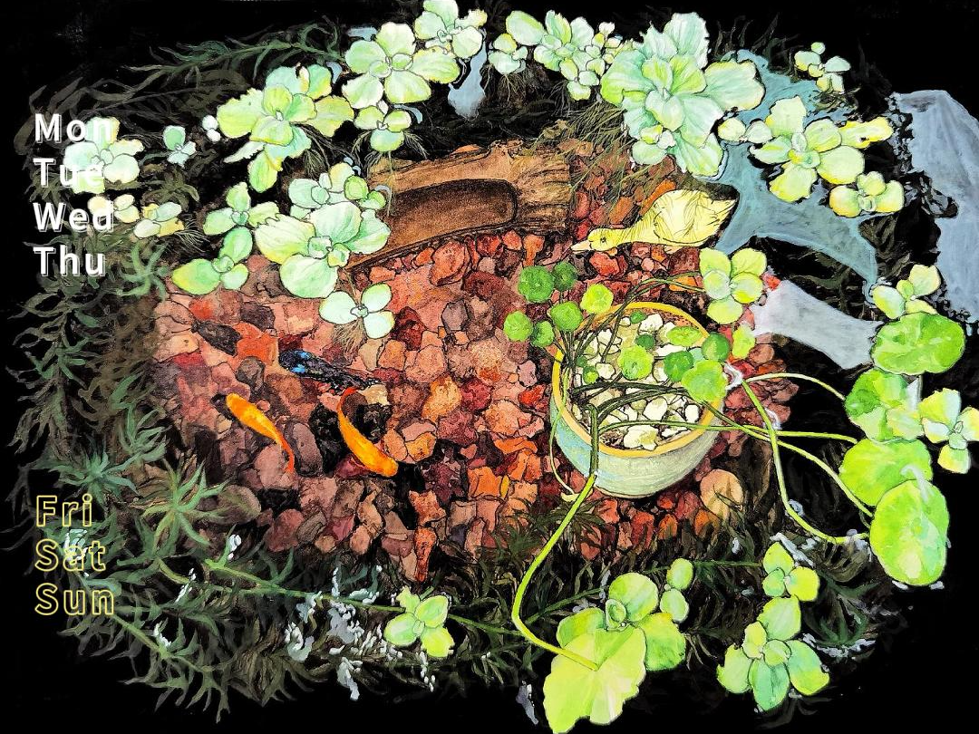 鸭鸭回家记_口口田绘画-站酷ZCOOL