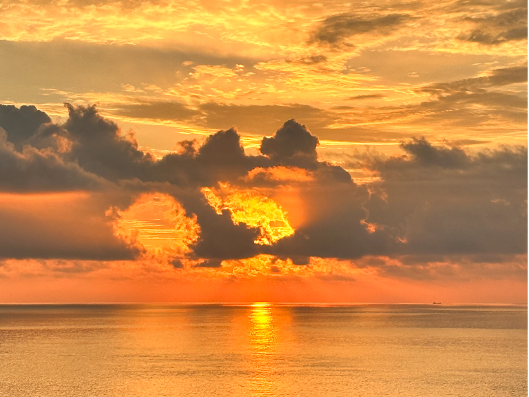 初阳_小金鱼606-站酷ZCOOL