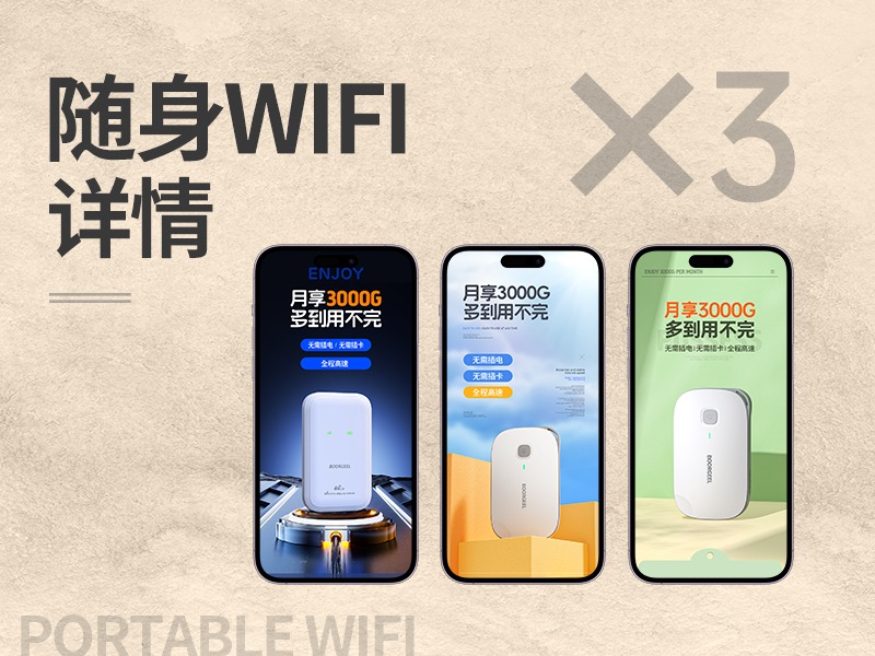 详情*3_流浪的闲猫111-站酷ZCOOL