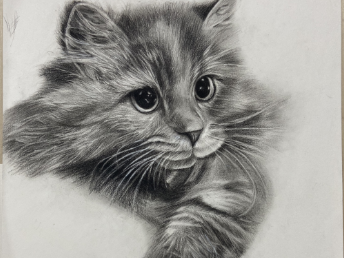 素描手绘_Gardenia栀子花-站酷ZCOOL