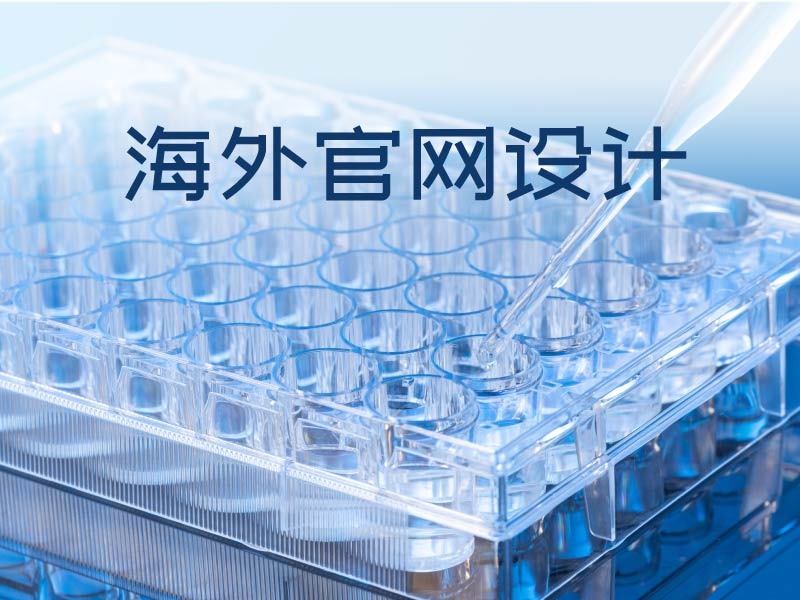 海外官网设计_Yuki18-站酷ZCOOL