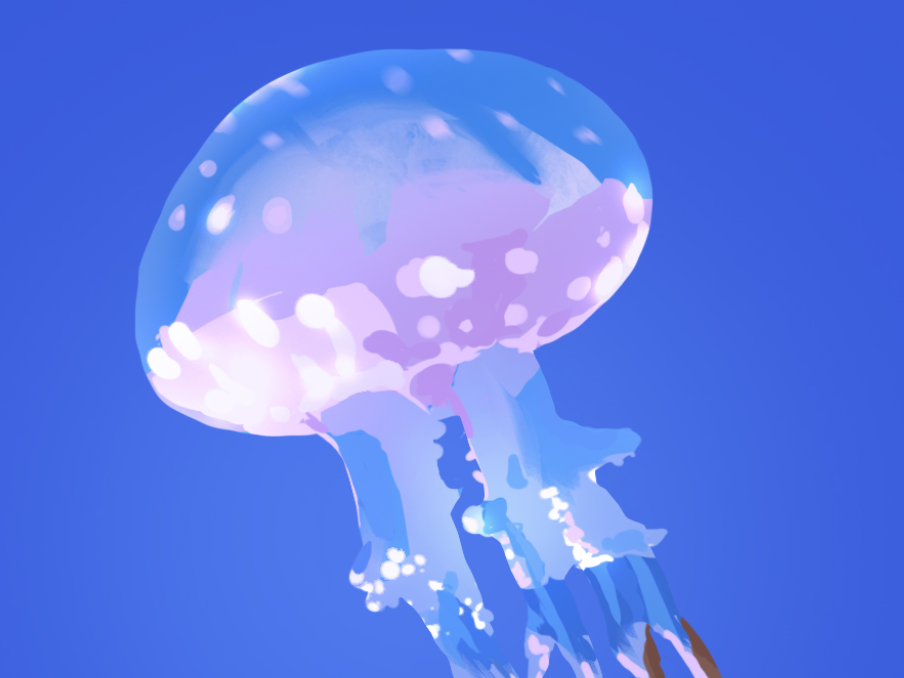 【色彩速涂】水母概括练习_摘星星的Ana-站酷ZCOOL