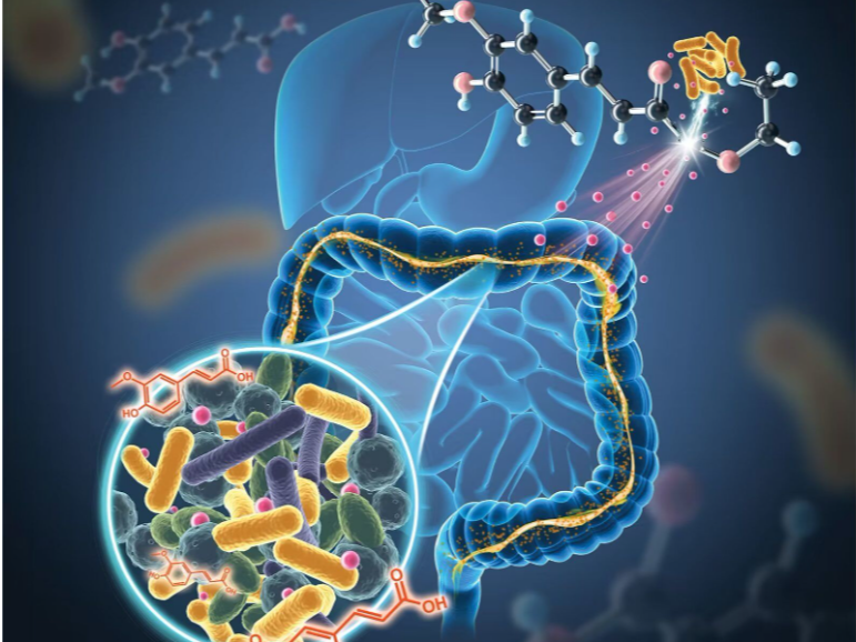 JAFC封面图_scihua-站酷ZCOOL