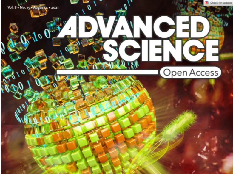 Advanced Science期刊封面图_scihua-站酷ZCOOL
