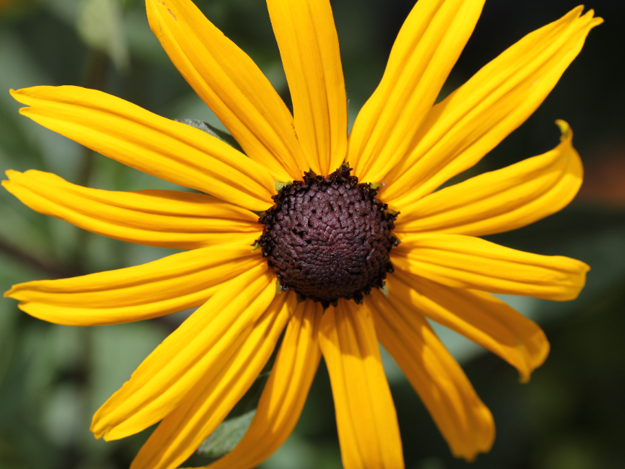 112_Z960951072-站酷ZCOOL