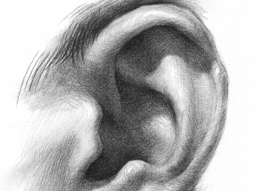 素描耳朵_星亮绘画art-站酷ZCOOL