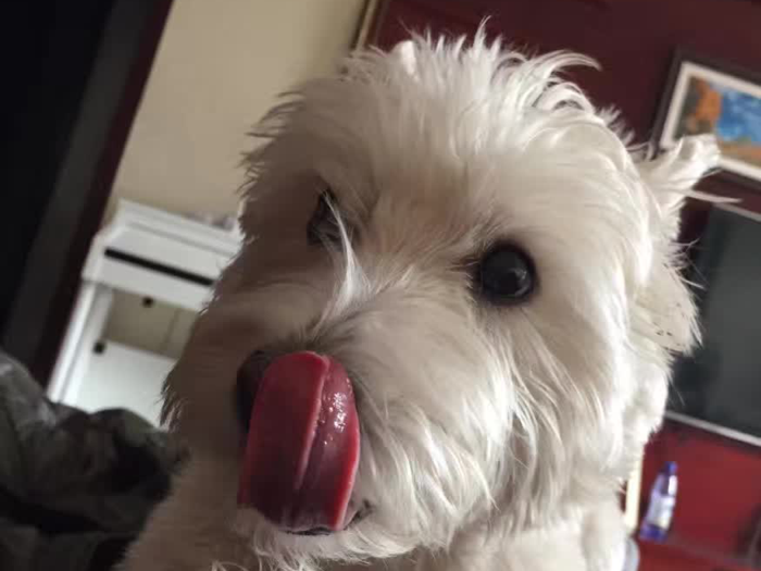 卷_黄瀚正-站酷ZCOOL