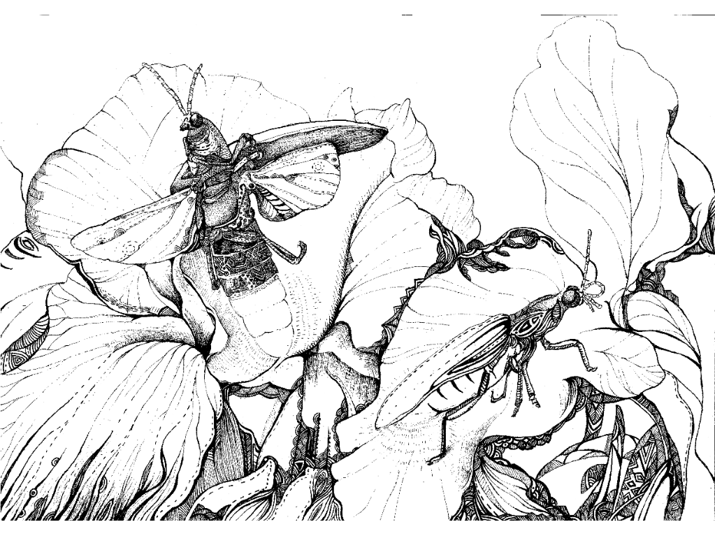 昆虫装饰画_月意迢迢-站酷ZCOOL