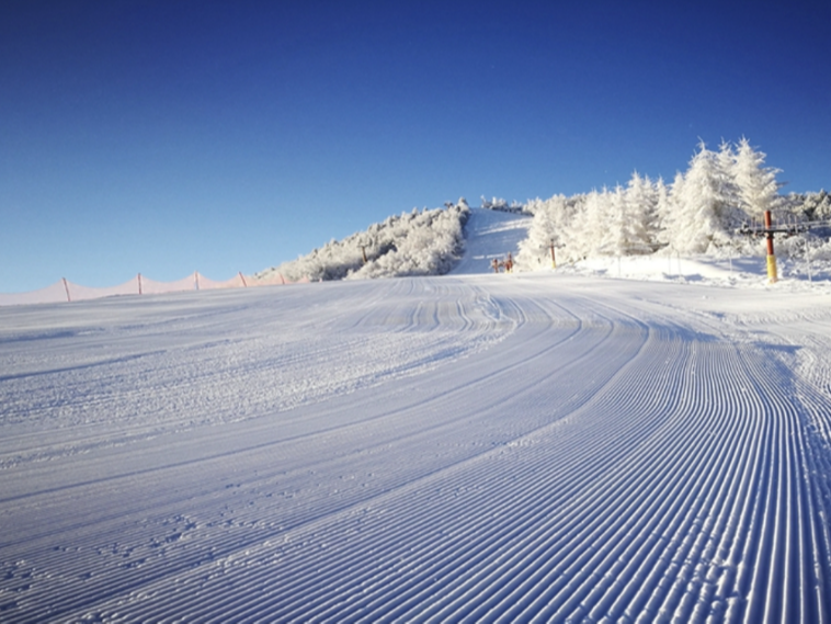 雪地一张_nbawxs-站酷ZCOOL