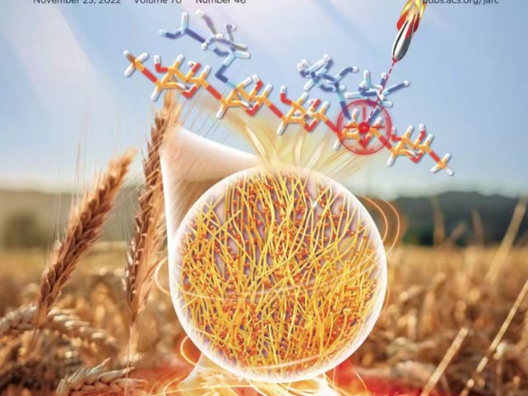 JAVFC封面图_scihua-站酷ZCOOL