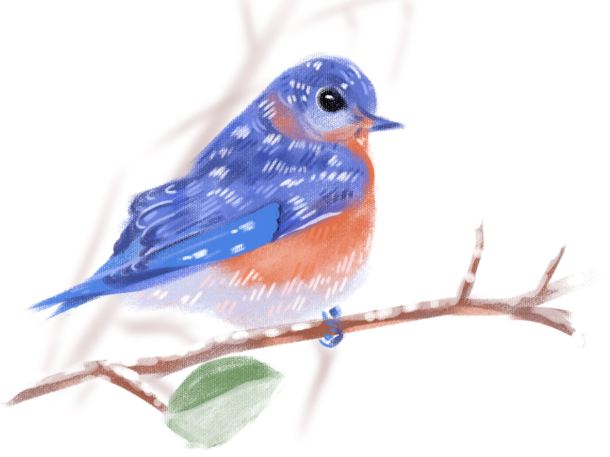 畅享未来D6_Jolie丛小姐-站酷ZCOOL