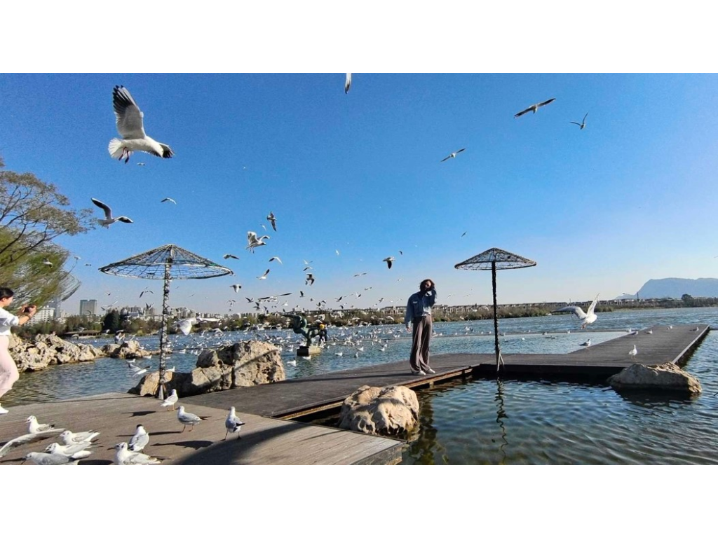 多彩中国_Z532959529-站酷ZCOOL