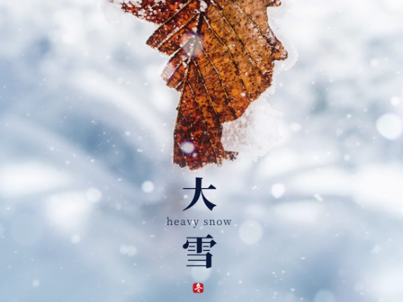 2022大雪节日节气企业公司借势大气简约高端海报设计_长夏在野-站酷ZCOOL