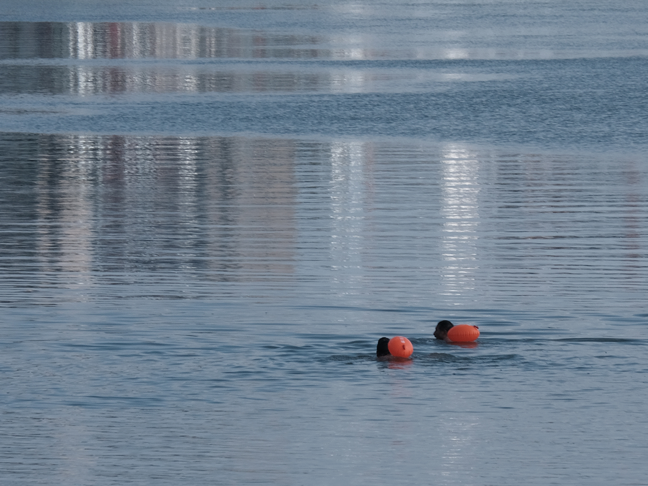 葵 · 视的记录2022 · 上_江三木罗KUI-站酷ZCOOL