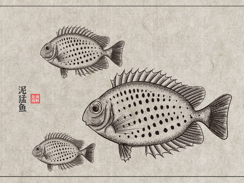 广西北海海鲜_原夕-站酷ZCOOL