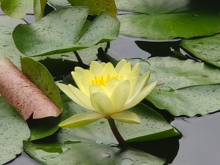 游西湖_Z363454684-站酷ZCOOL