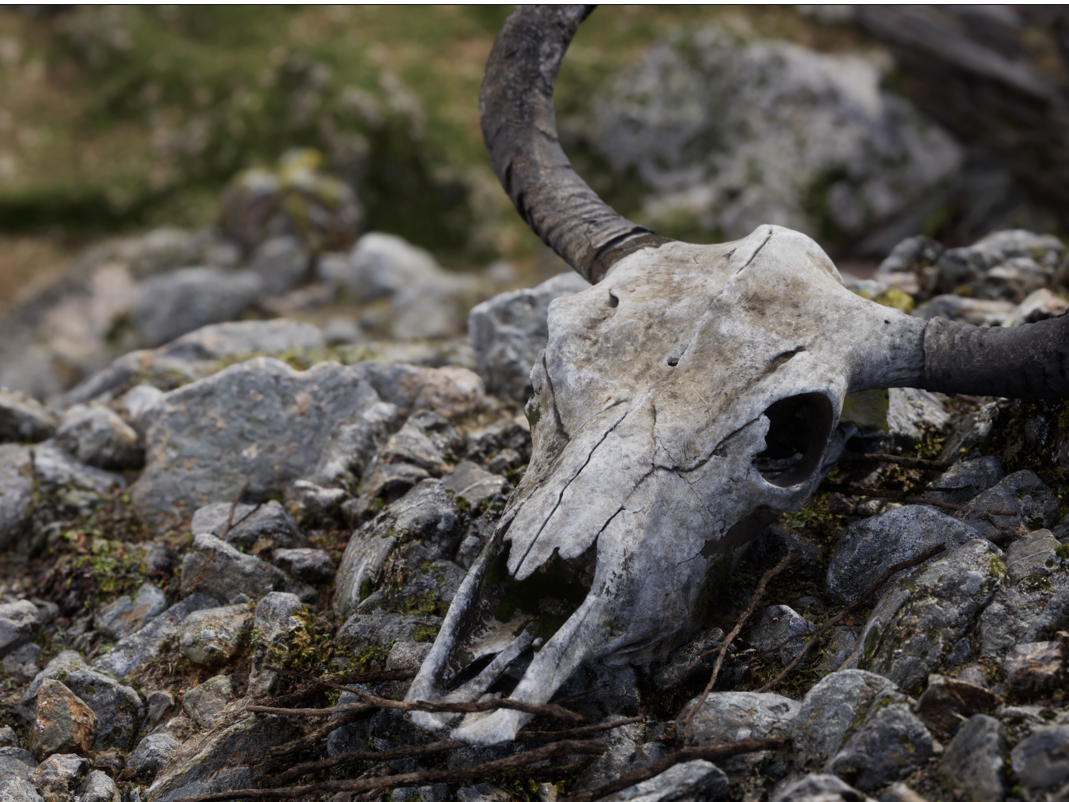 充满野性的3D丛林场景渲染_pbrmax-站酷ZCOOL